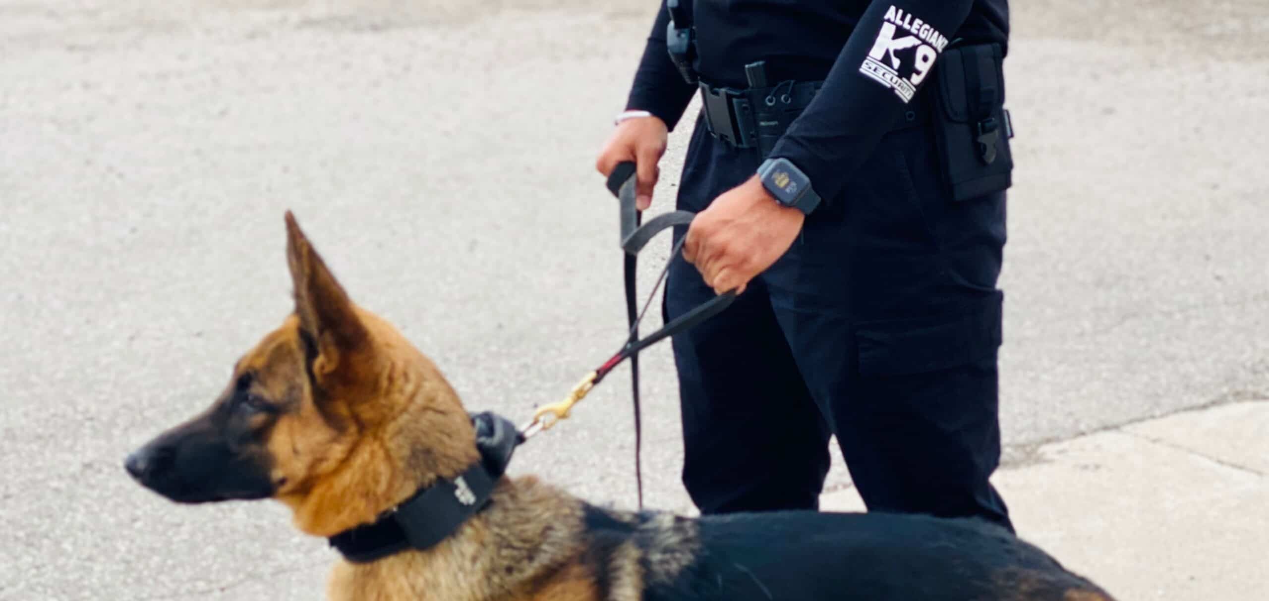 Allegianz K9 Security - Ontario - Committed to your peace of mind